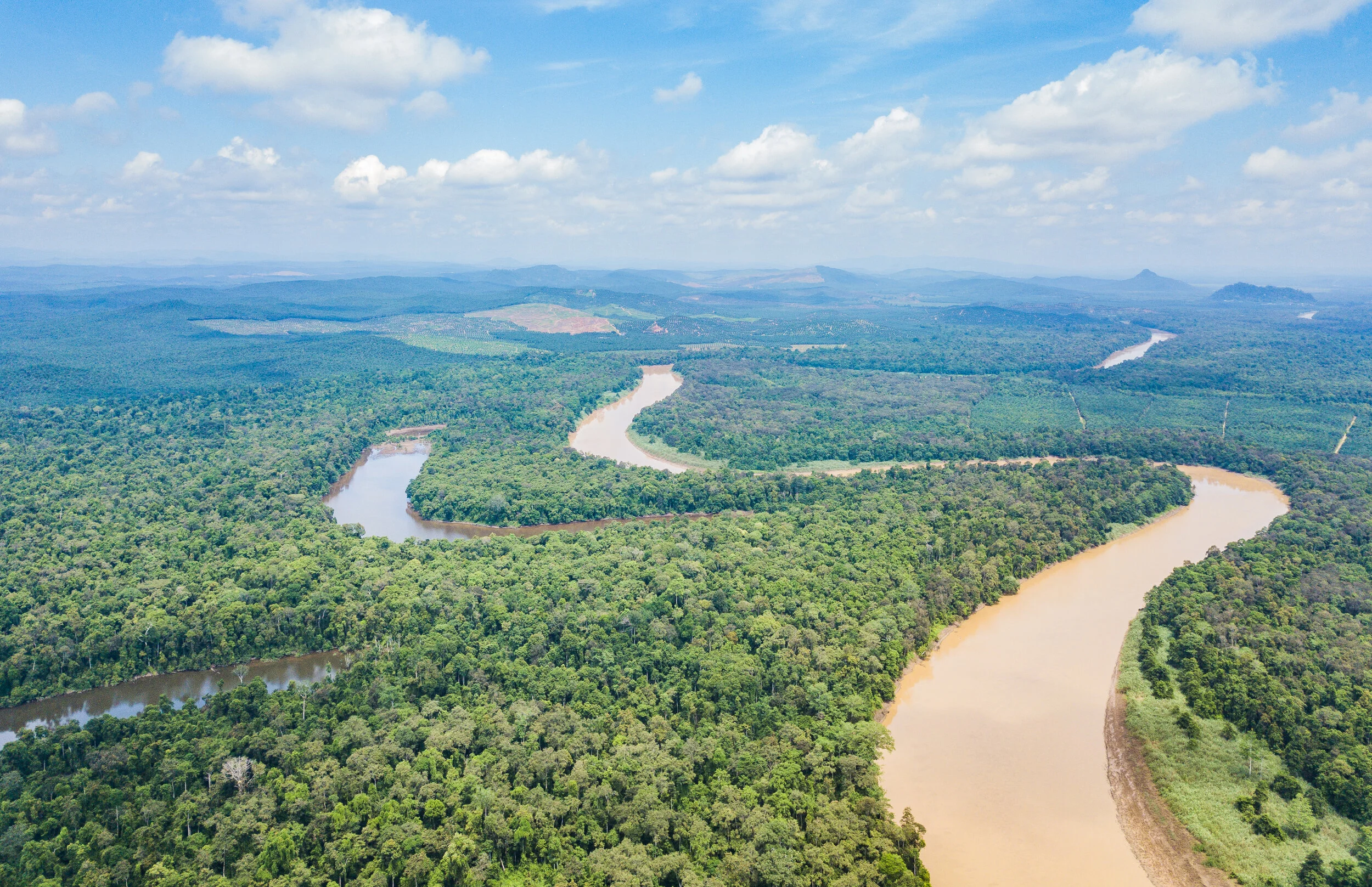 Danau Girang Field Centre | NGO Friends — Ecoflix