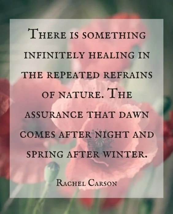 APRIL REWIND {2023} — Simply Laura Dee | Boy Mom, Easy Recipes, Modern ...