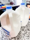MODERN HOMESTEAD: HOW TO CAN MILK — Simply Laura Dee