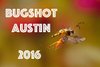 Workshops — BugShot