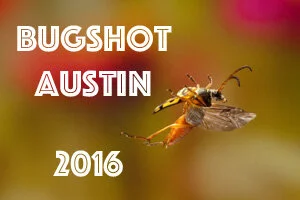 Workshops — BugShot