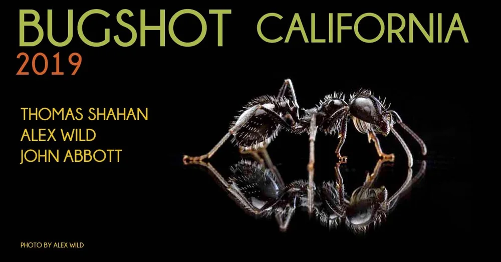 Workshops — BugShot