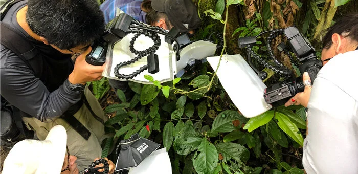 Workshops — BugShot