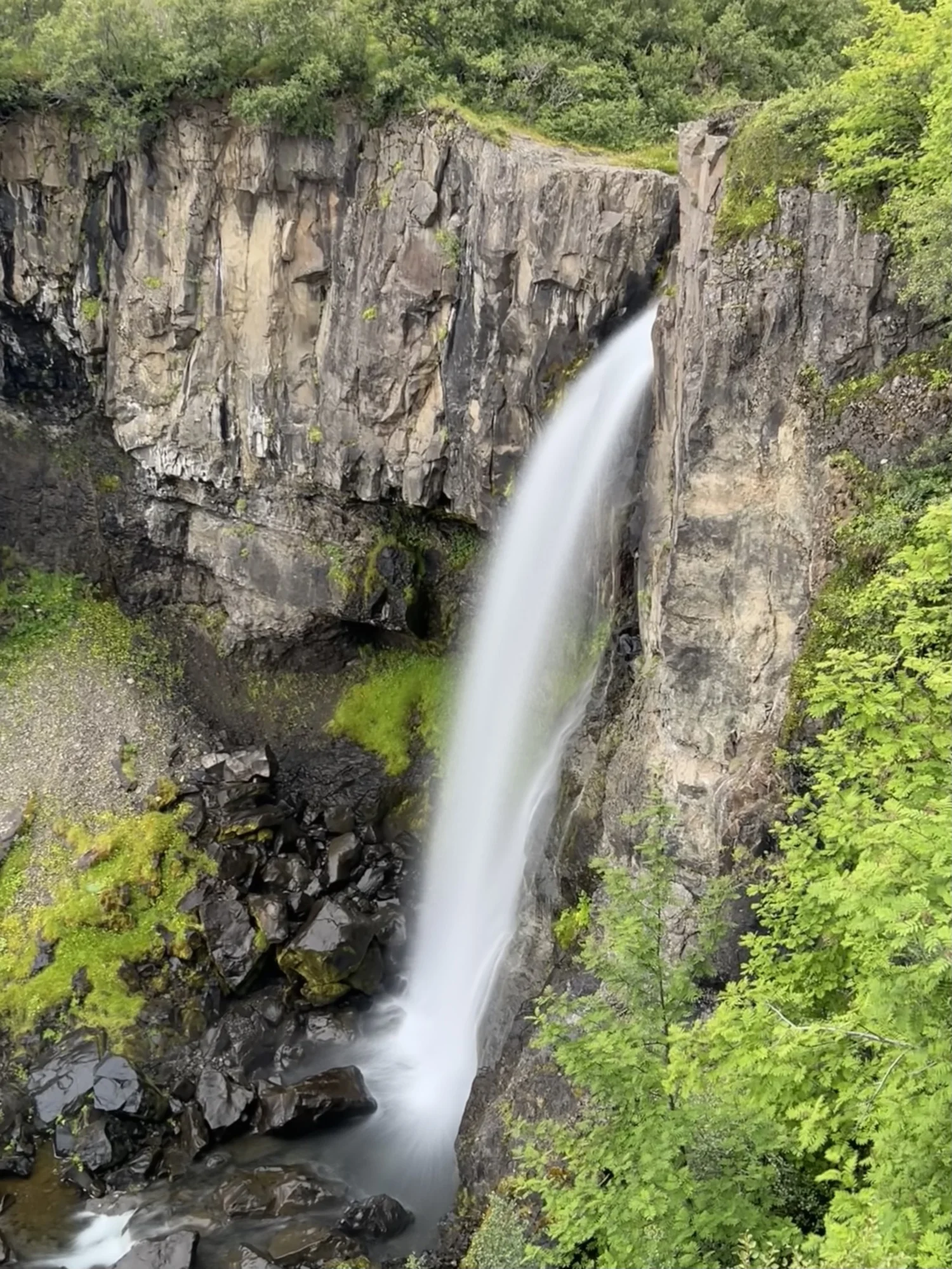 Svartifoss - the ‘Black Falls’ — Iceland Life