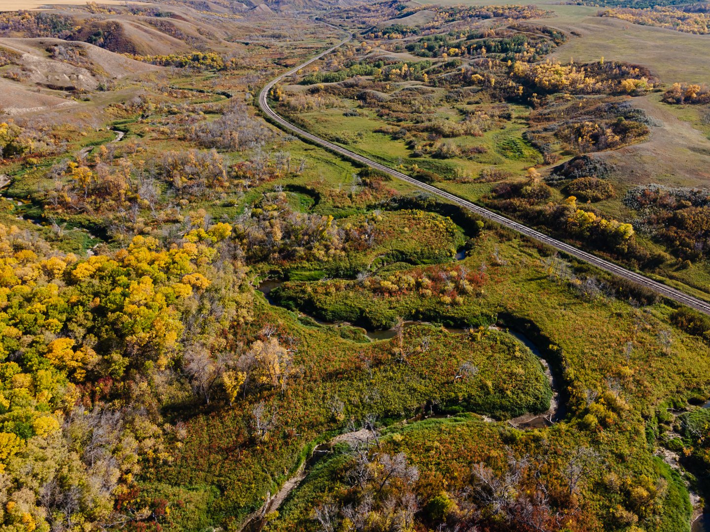 The Country Lumsden — Trademark Homes