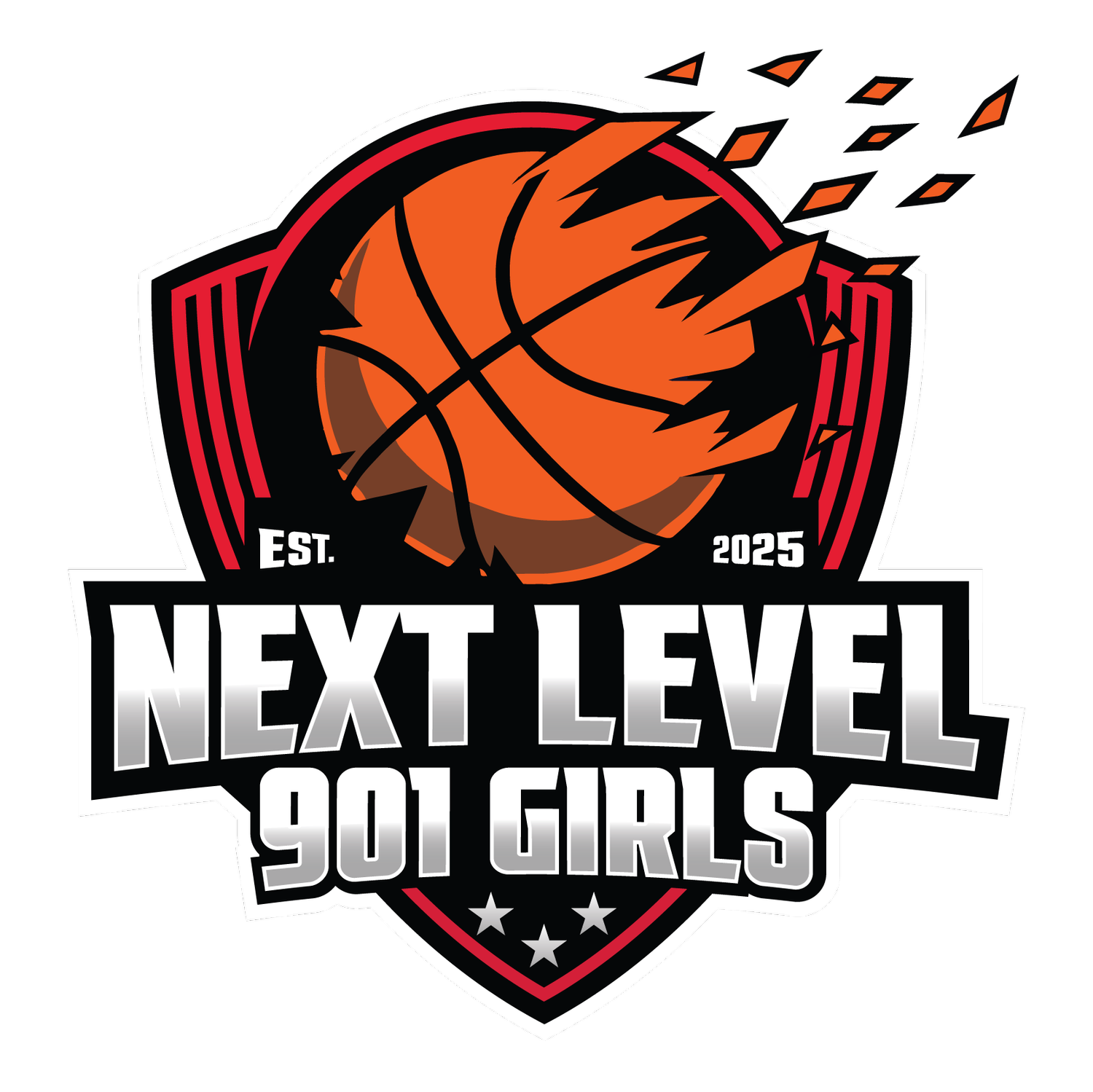 NEXT Level 901 - Girls Basketball Club — Memphis Sports and Events Center