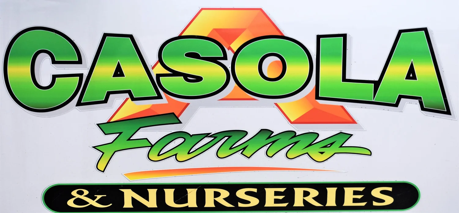 A. Casola Farms