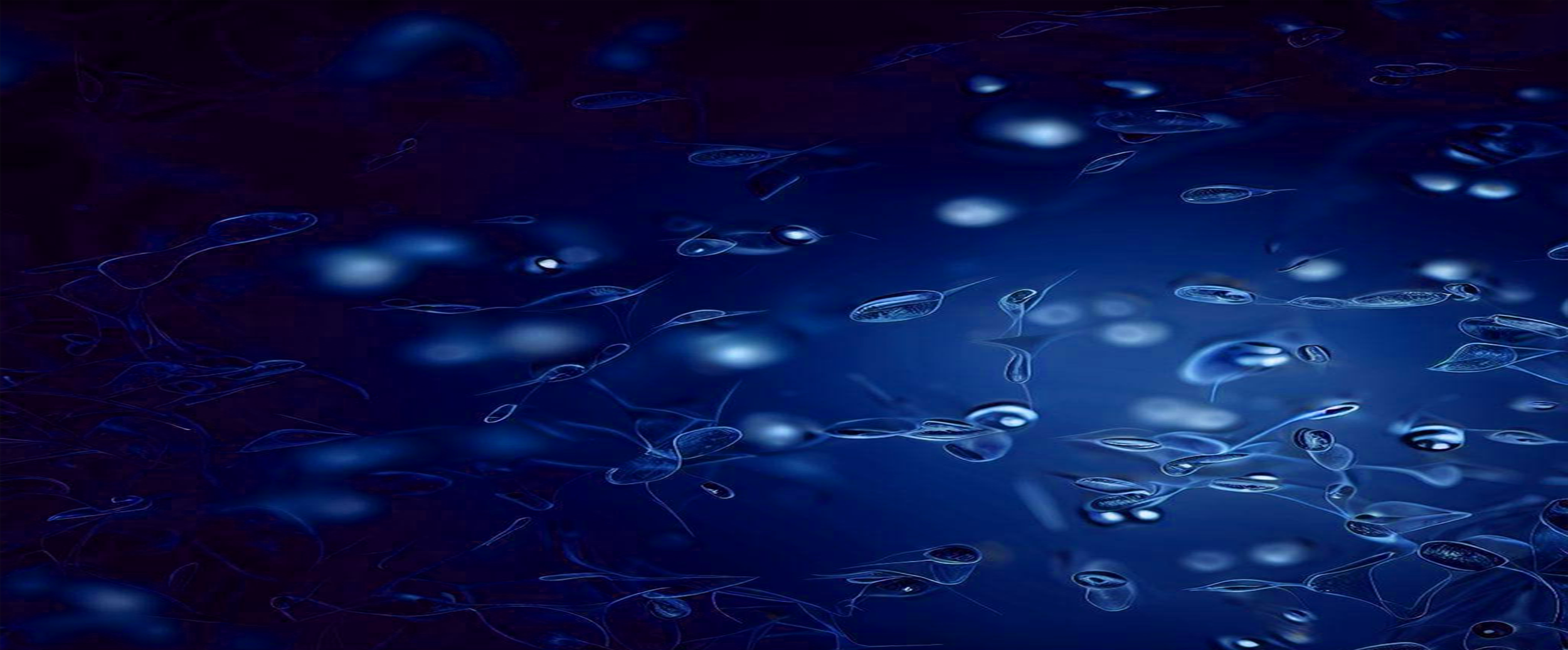 Vietnam's first PVA / PVOH polyvinyl alcohol water soluble resin ...