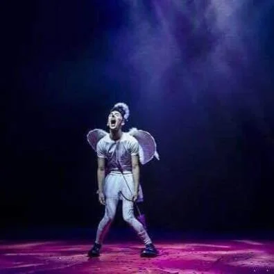 John Lawson's Circus - Entertaining since 1974