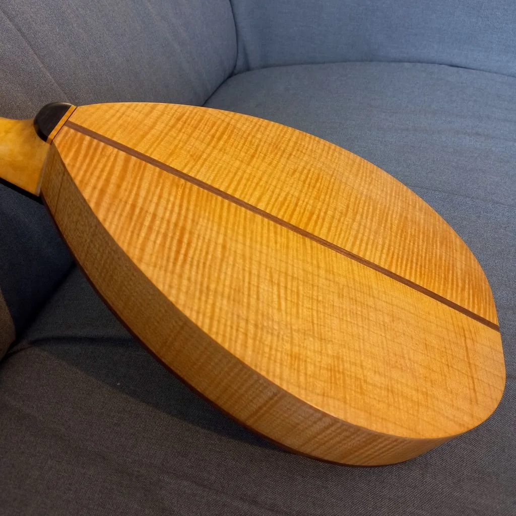 Mandolin — Y. Stern String Instruments