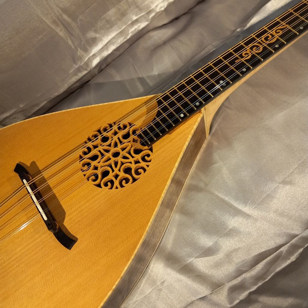 Octave Mandolins — Y. Stern String Instruments