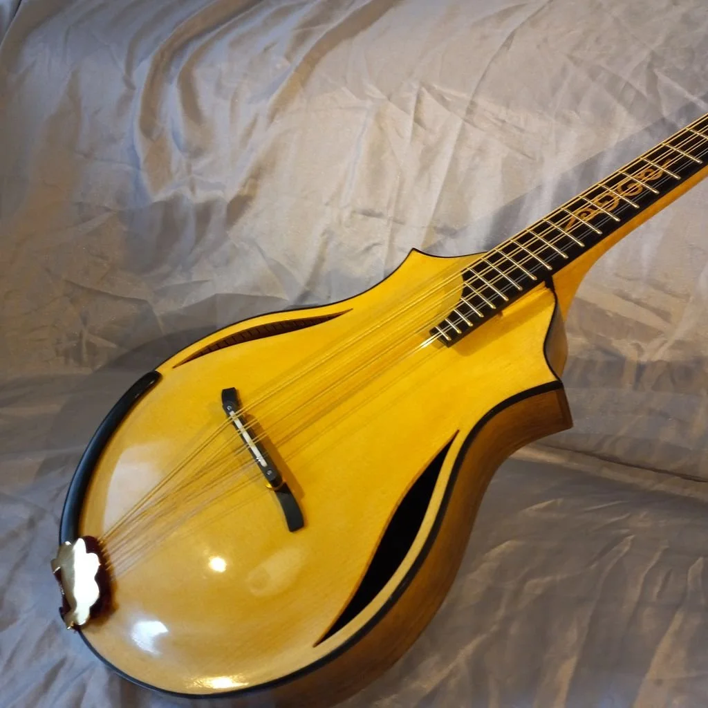 For Sale — Y. Stern String Instruments