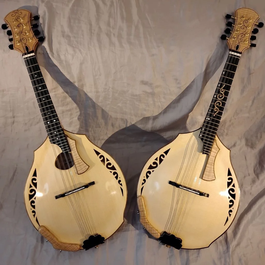 Mandolin — Y. Stern String Instruments