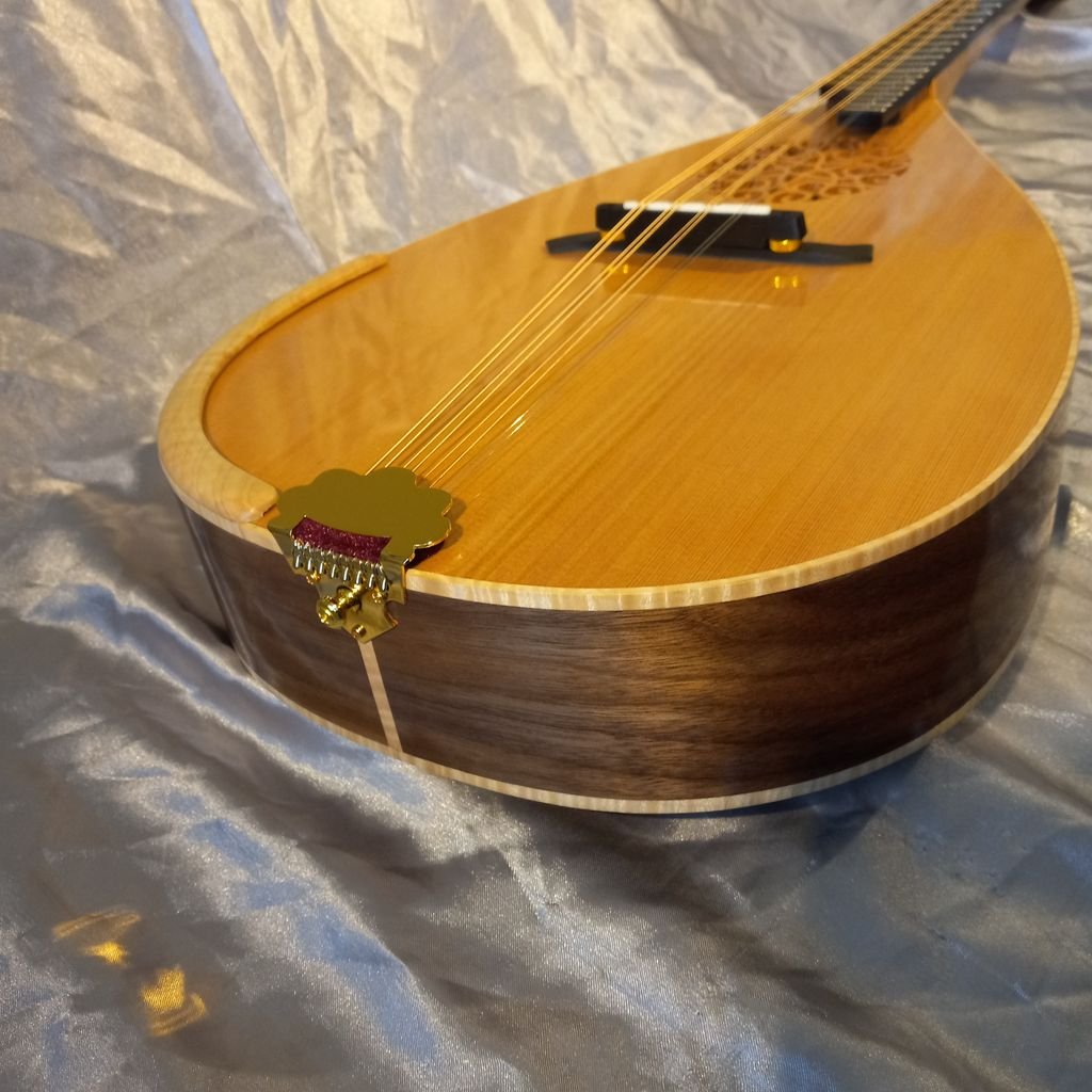 2023 Renaissance Octave — Y. Stern String Instruments