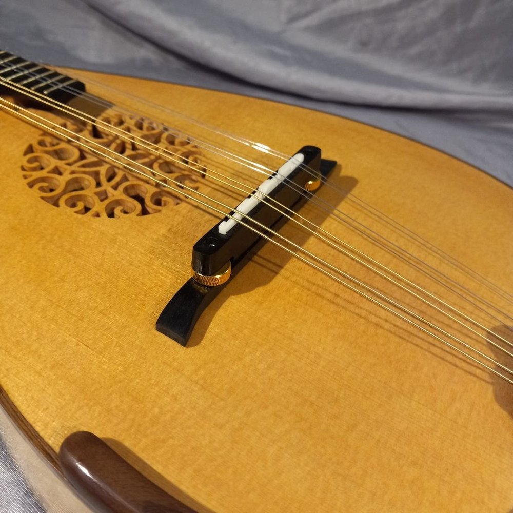 Mandolin — Y. Stern String Instruments