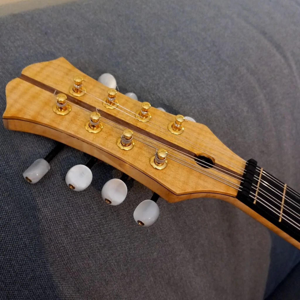 Mandolin — Y. Stern String Instruments