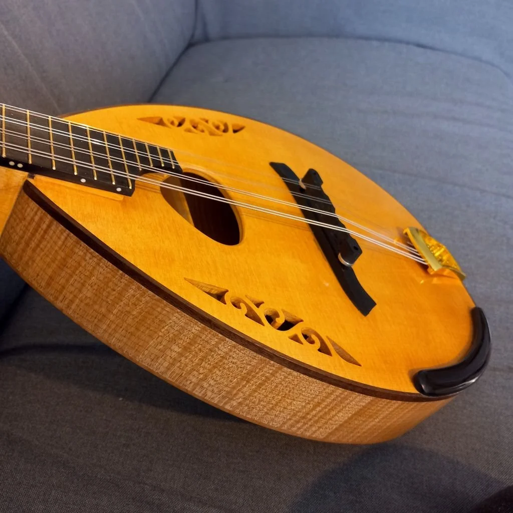 Mandolin — Y. Stern String Instruments