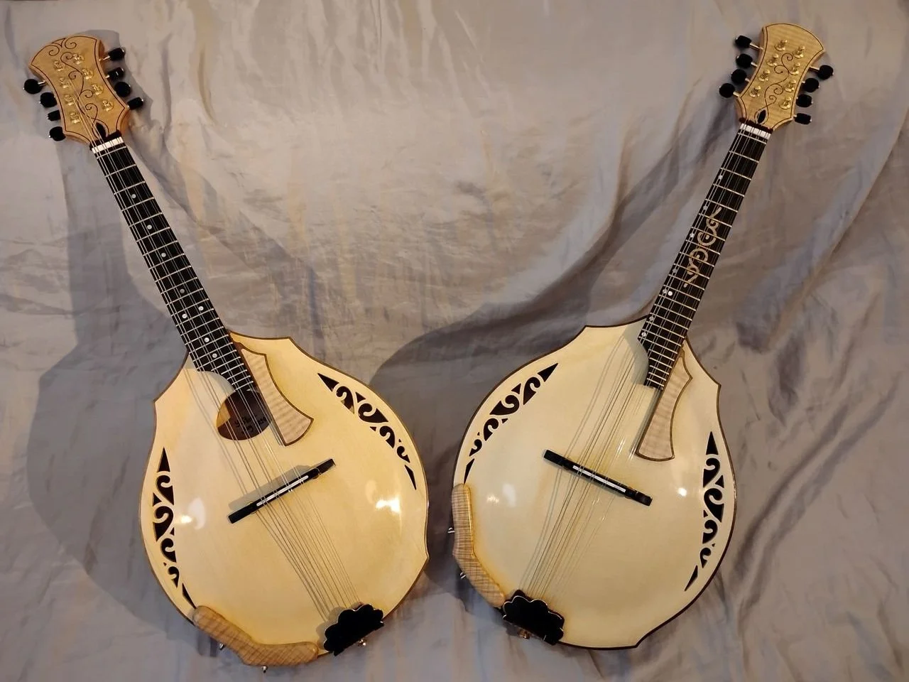 Mandolin — Y. Stern String Instruments