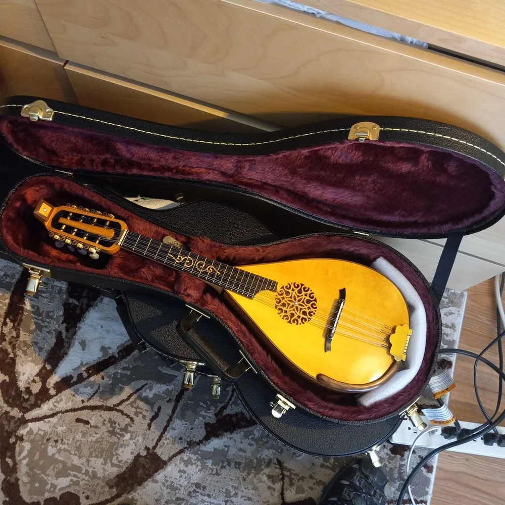Mandolin — Y. Stern String Instruments