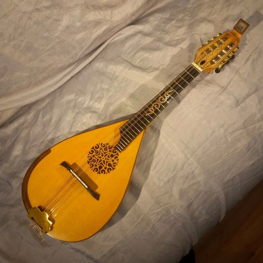 Mandolin — Y. Stern String Instruments