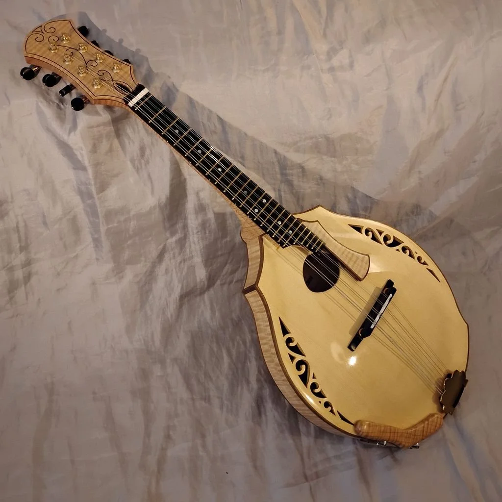 Mandolin — Y. Stern String Instruments