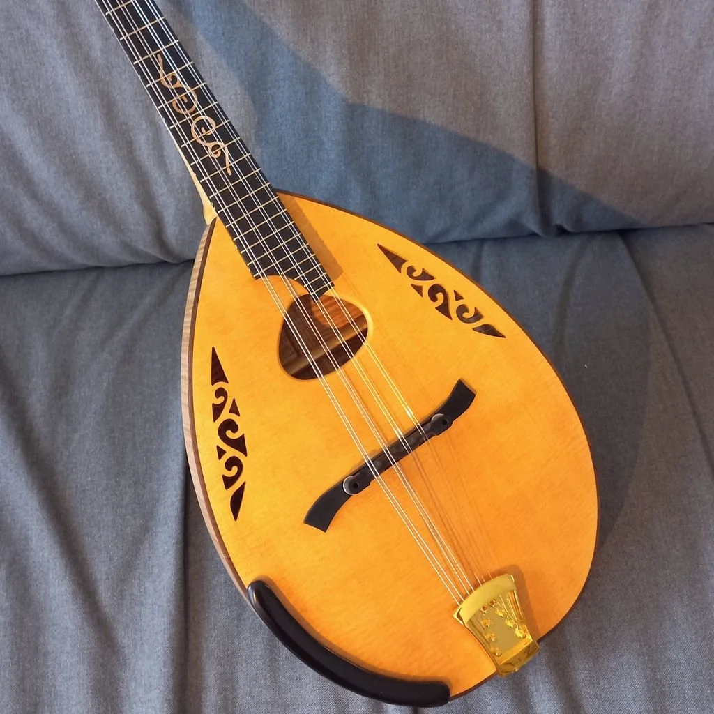 Mandolin — Y. Stern String Instruments