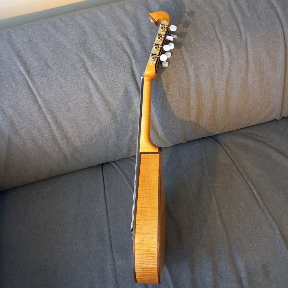 Mandolin — Y. Stern String Instruments