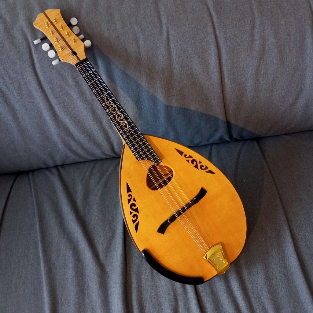 Mandolin — Y. Stern String Instruments