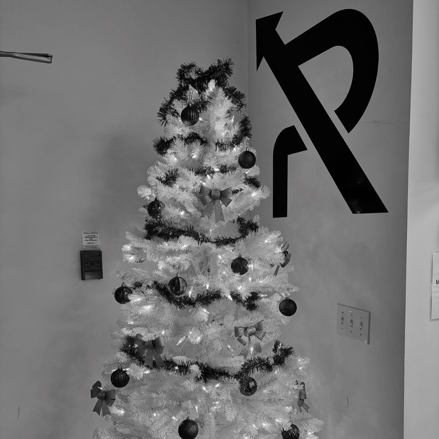 Rise 21 Dance Company