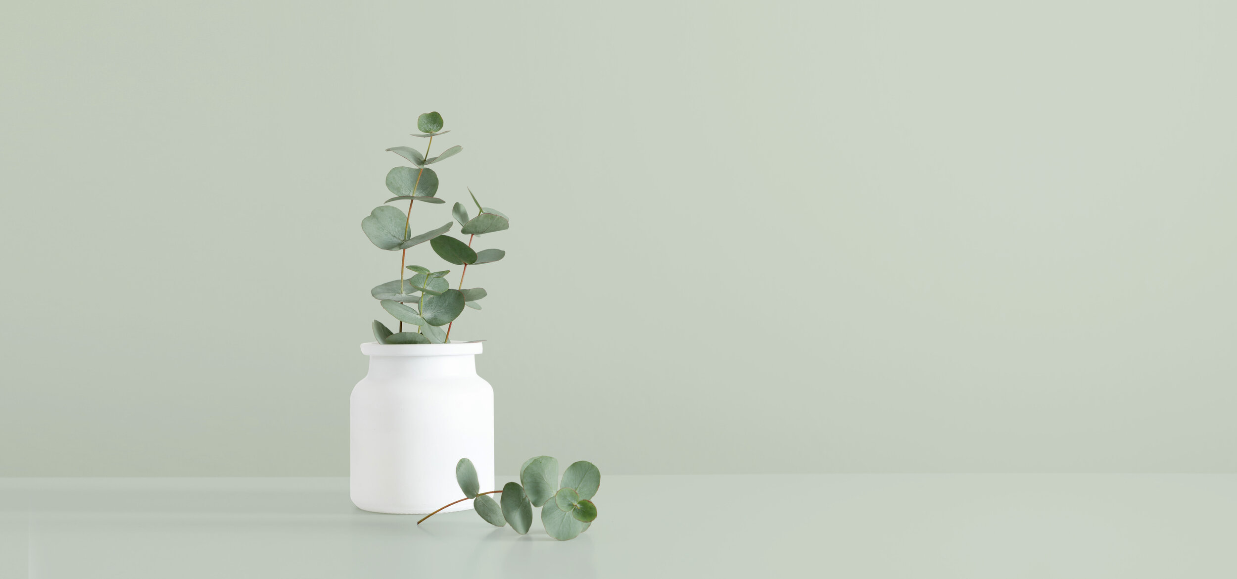 Blossoming through Behavior