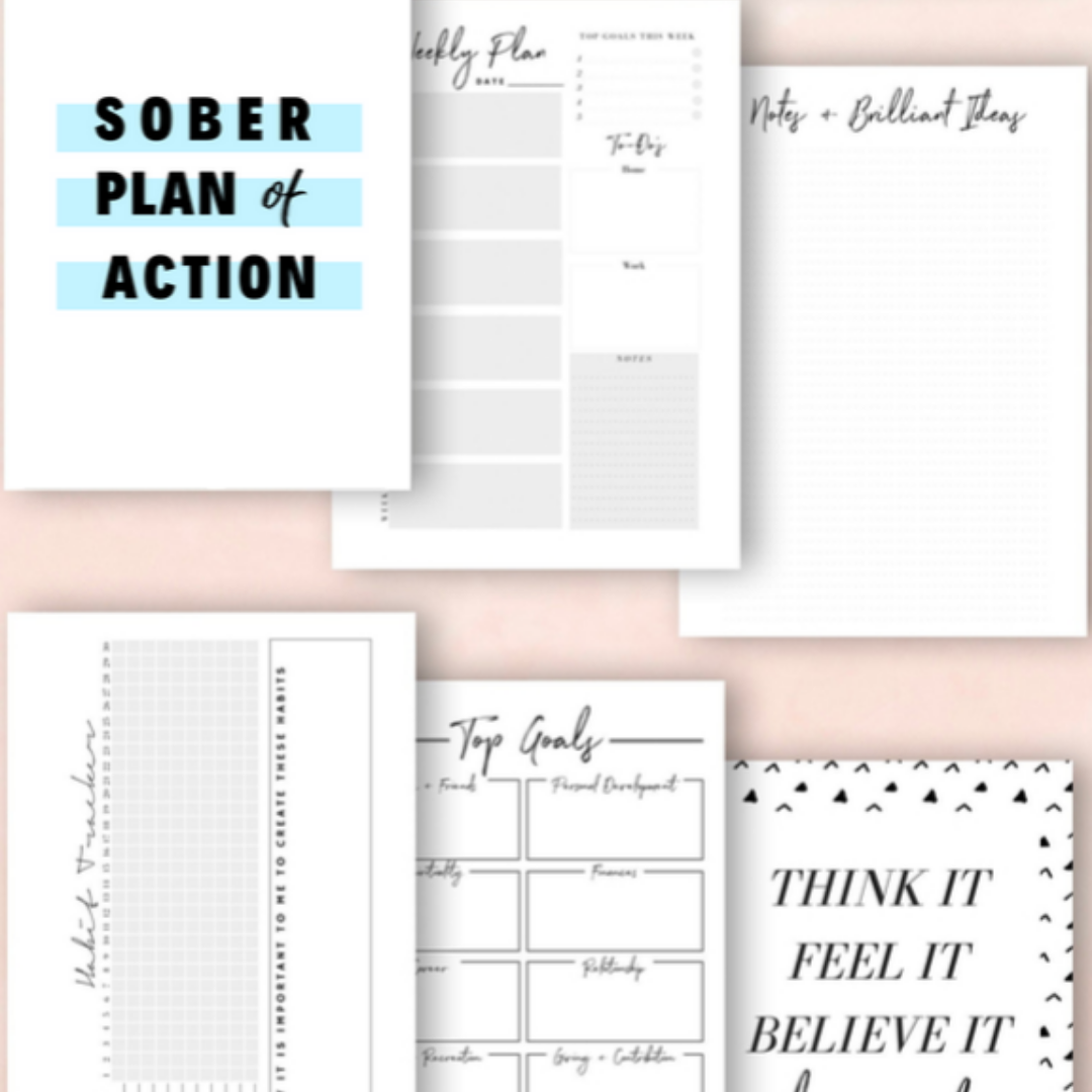 SOBER PLAN OF ACTION WORKBOOK — A Sober Girls Guide
