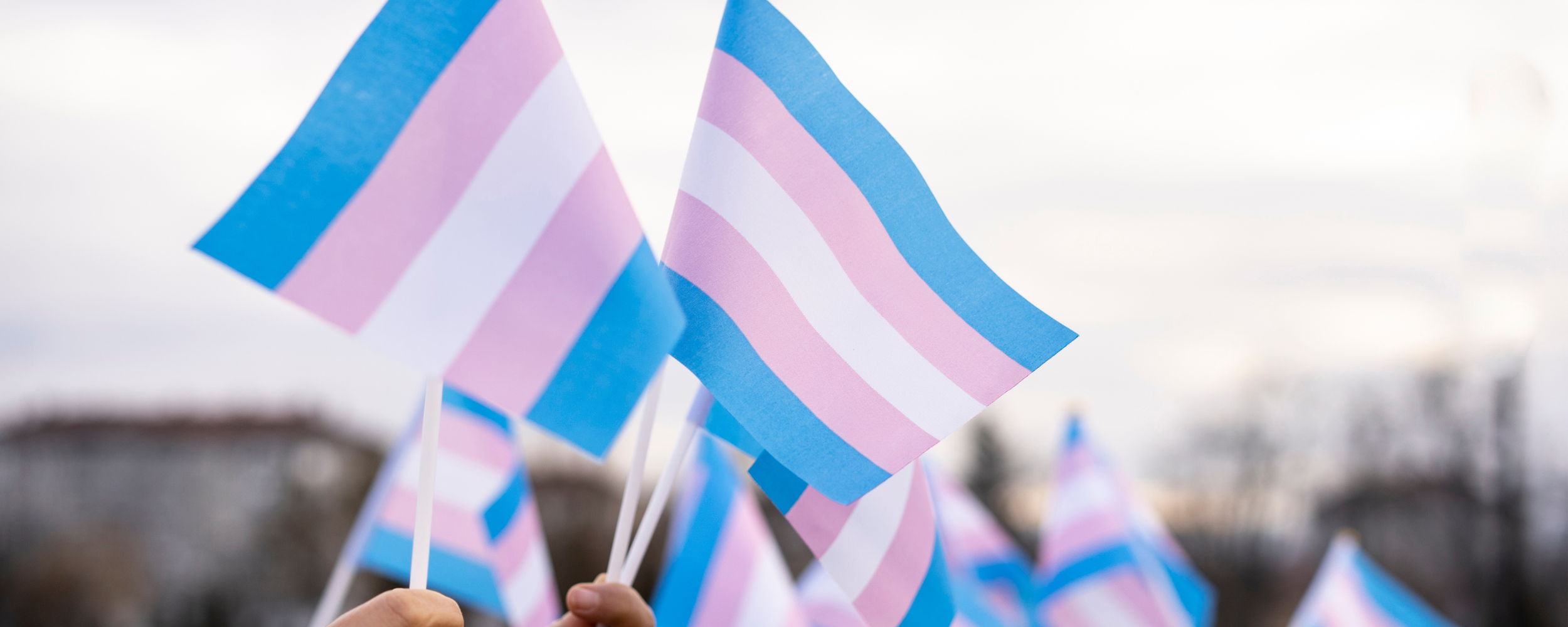 Statement on Trans Inclusion — CPCUCC