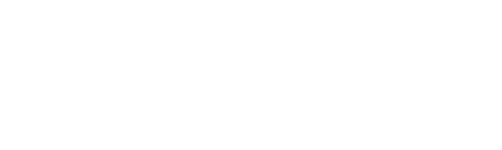 Summer School Electronics