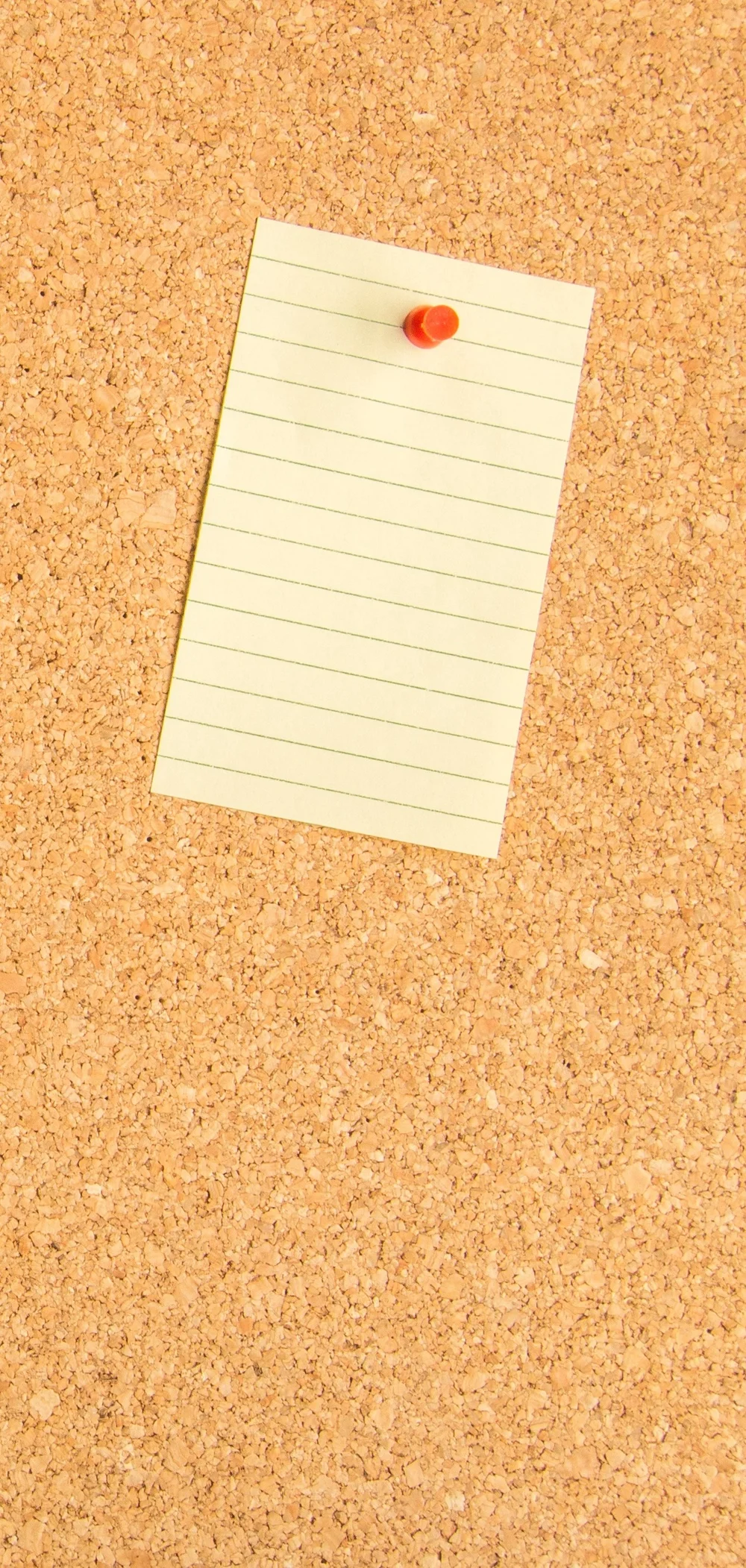 Summer School Electronics