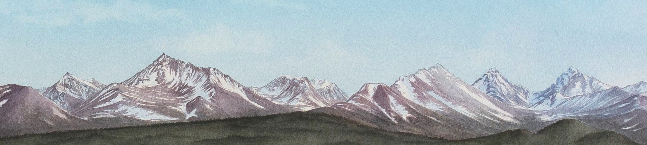 JULIA DITTO ILLUSTRATION