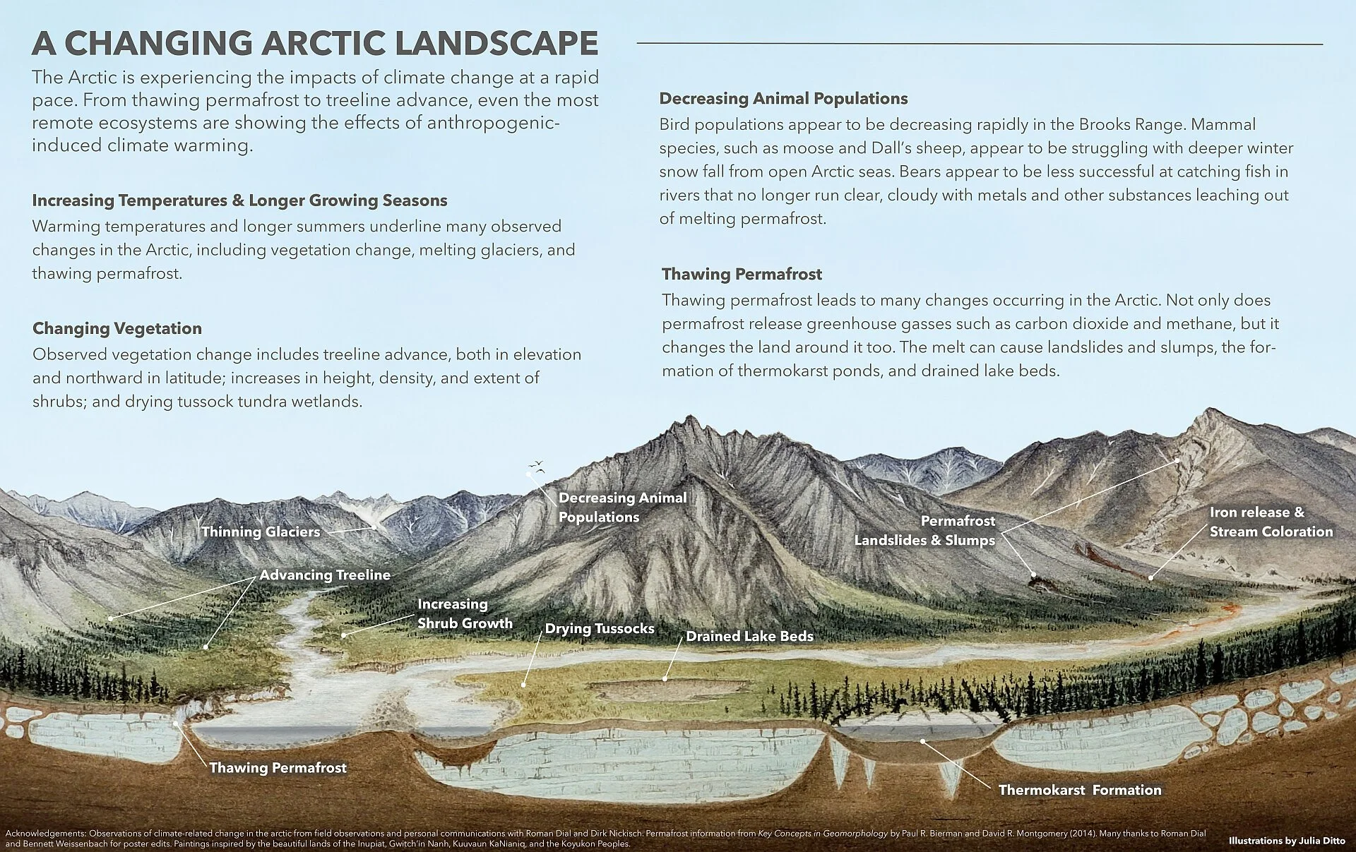 Arctic Treeline
