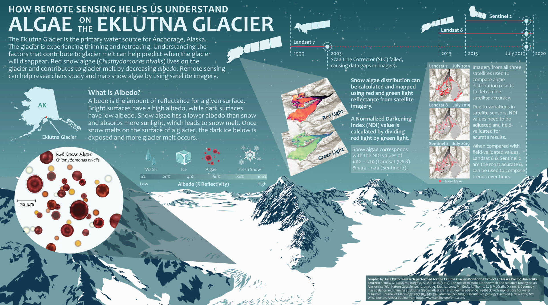 JULIA DITTO ILLUSTRATION