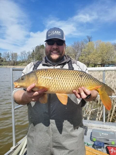 About Us — Carp Solutions