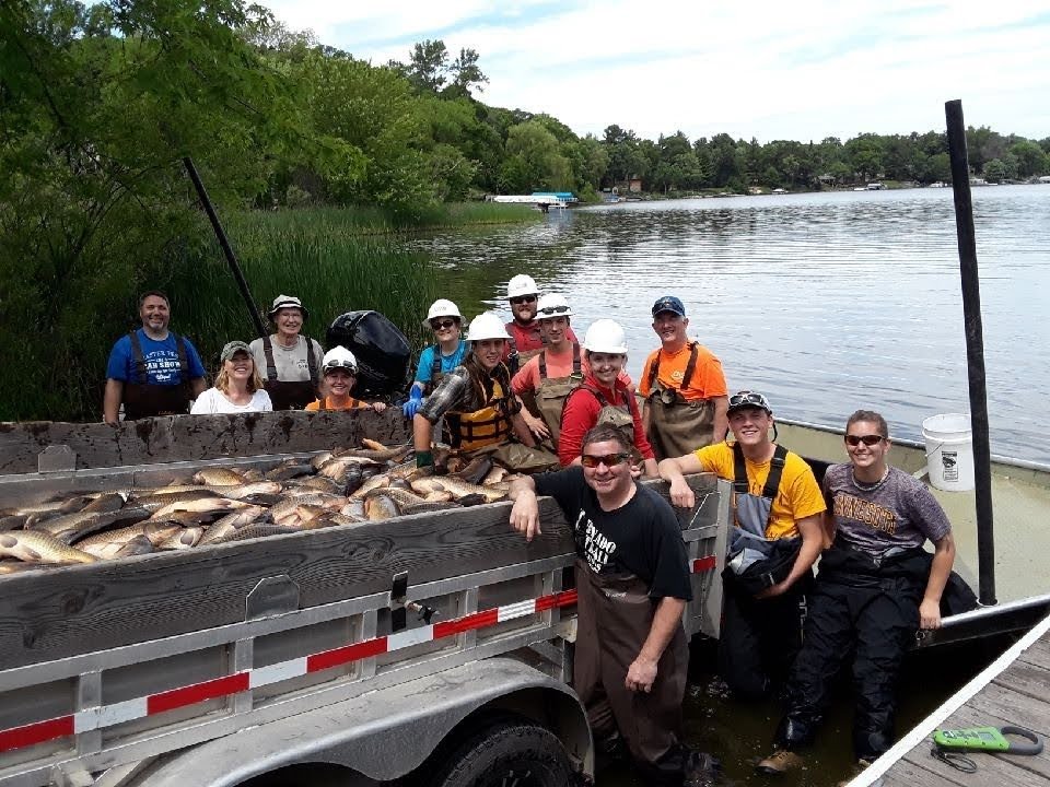 Services 1 — Carp Solutions