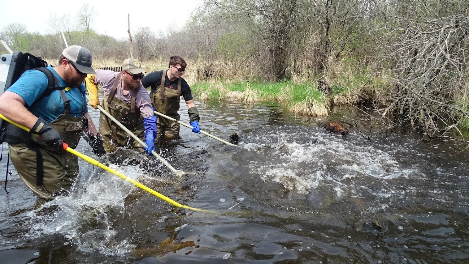 Services 1 — Carp Solutions