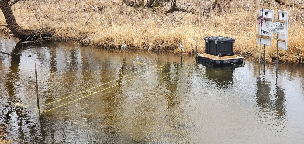 Services 1 — Carp Solutions