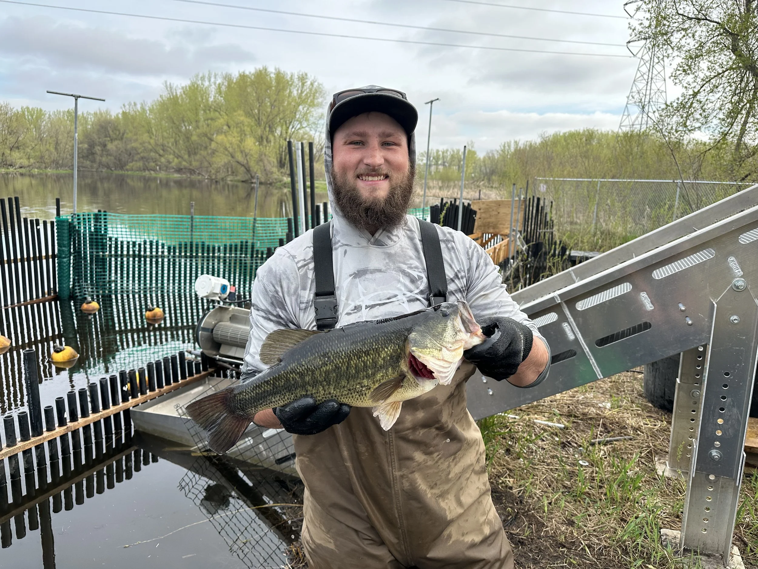 About Us — Carp Solutions