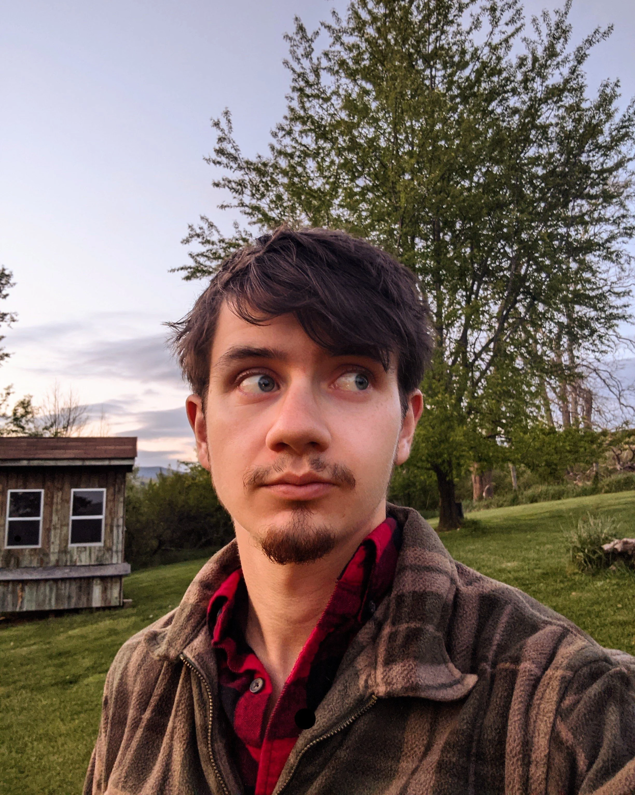 Field of Dry Bones — Samjoko