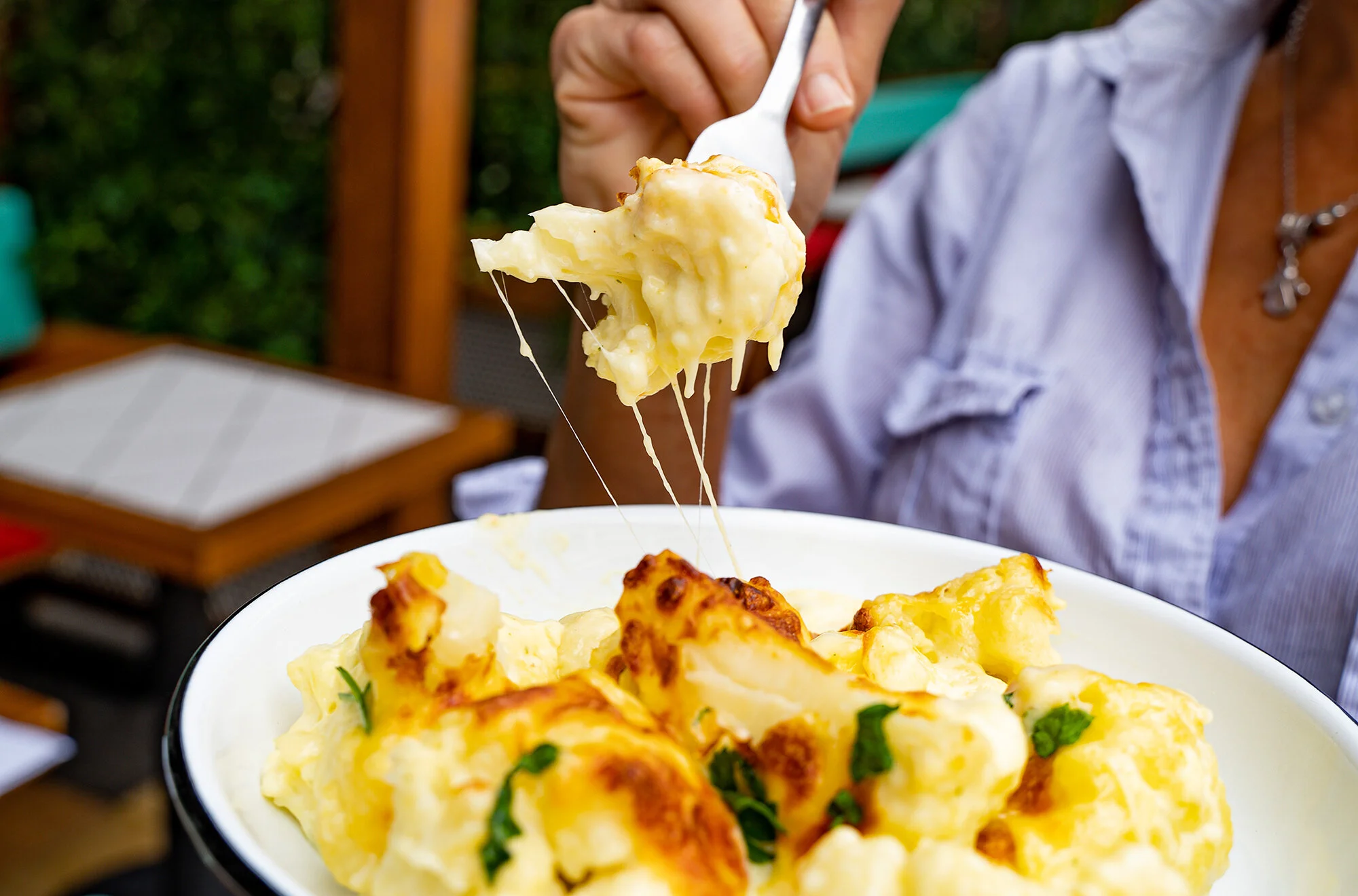 The Honest Chicken - Belrose & Newport