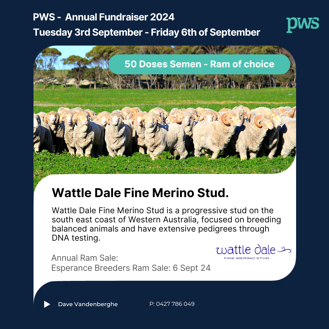 Wattle Dale Fine Merino Stud — Peter Westblade Scholarship