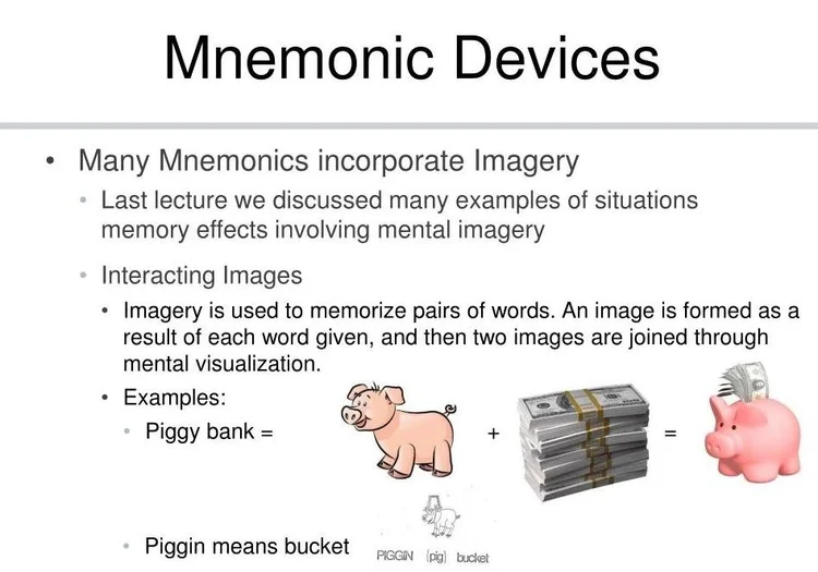 Mnemonic Device Maker | Mnemonic Tree Podcast — The Mnemonic Tree Podcast