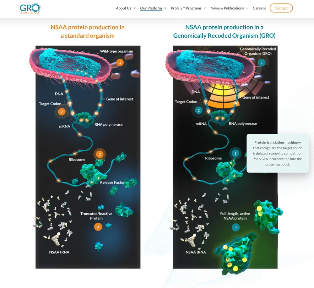 MoA — Cortical Studios