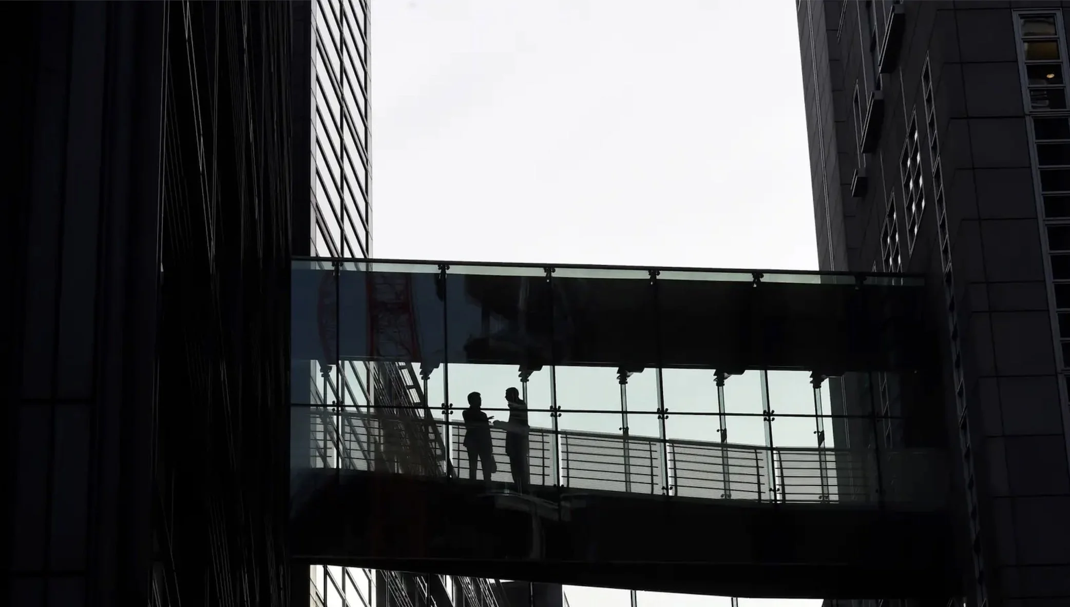 Dr. Wertheim featured in Quartz workplace language article — Worthwhile Consulting