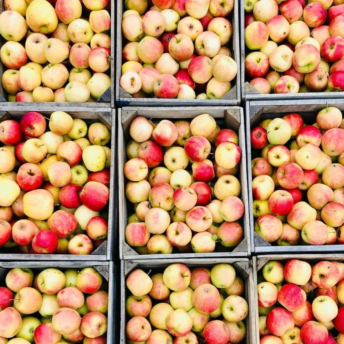 Three Falls Cider
