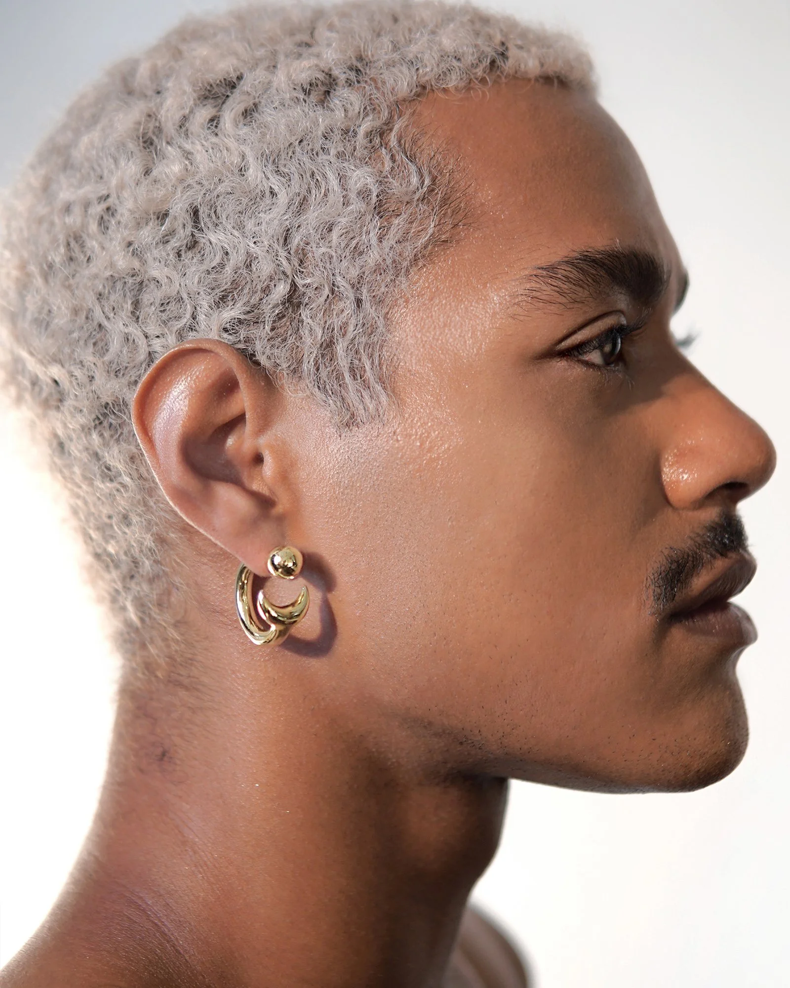 Prince Albert Earring Platinum — KISKA LAB